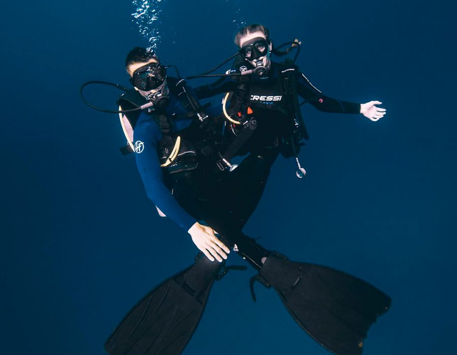Good Vibes Diving – We love to share our passion and make you feel part ...