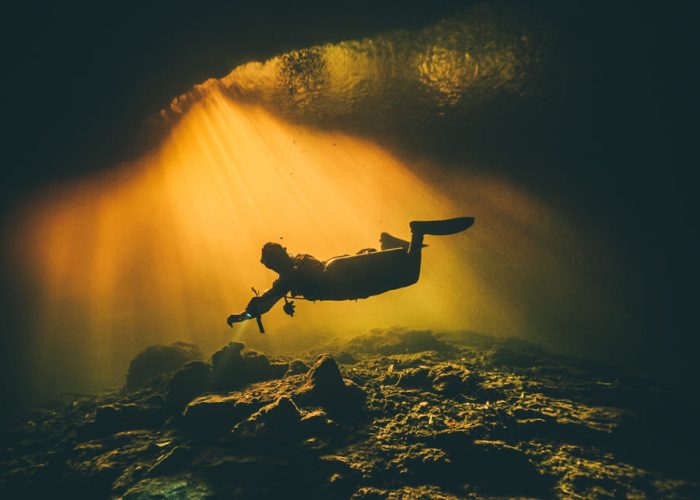 Good Vibes Diving – We love to share our passion and make you feel part ...