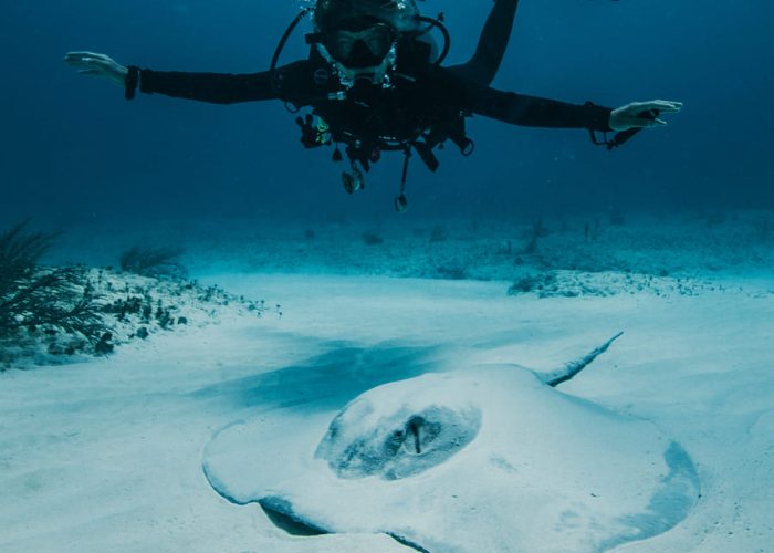 Good Vibes Diving – We love to share our passion and make you feel part ...